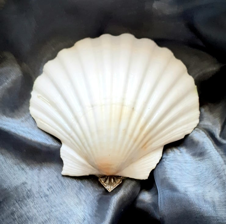 Decoupaged Elephant Scallop Shell Trinket Dish - Folksy