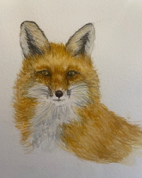 Watercolour (Original) Mr Foxy - Folksy