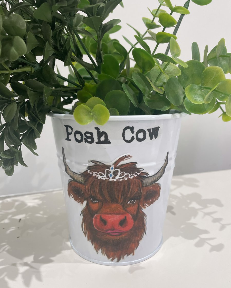Cow pot - Folksy