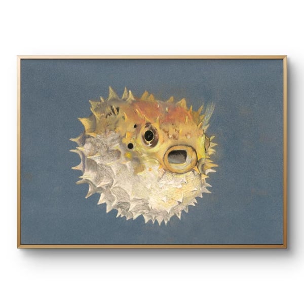 Realistic Puffer Fish Print - Pastel Pencil Dra... - Folksy