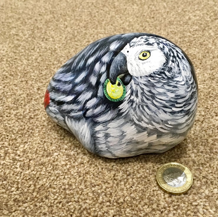 African grey parrot painted pebble garden rock ... - Folksy