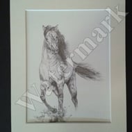 Wild Horse pencil drawing print - Folksy