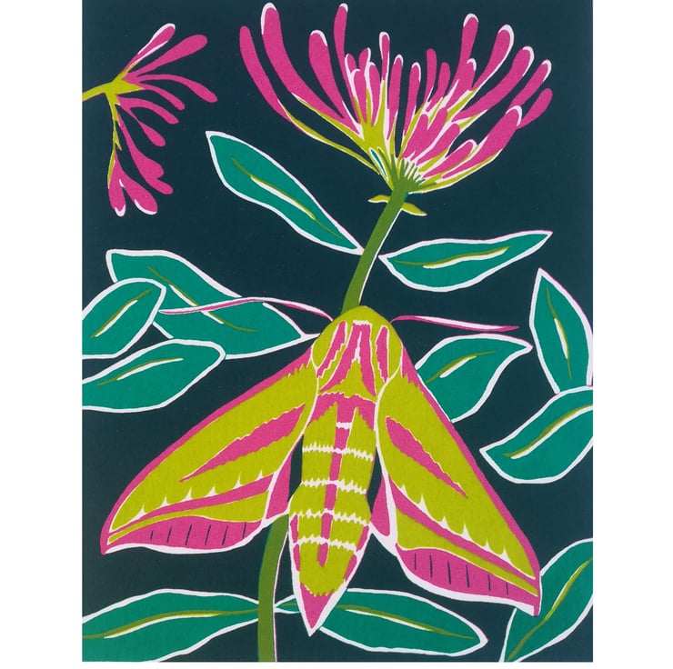 Elephant Hawkmoth screenprint - Folksy