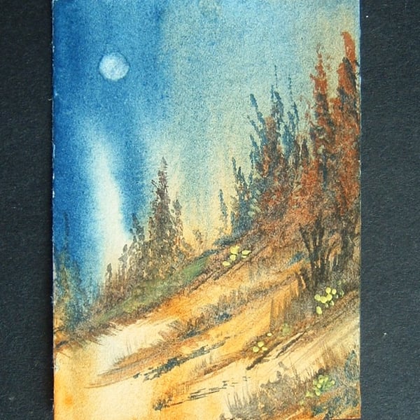 aceo art painting original watercolour ref 564 - Folksy