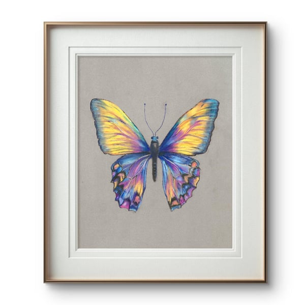 Colourful Butterfly Print - Originally drawn wi... - Folksy