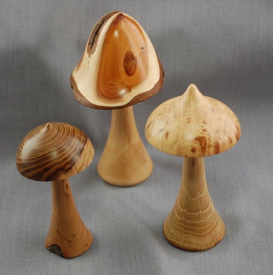Woodland Toadstools - Folksy