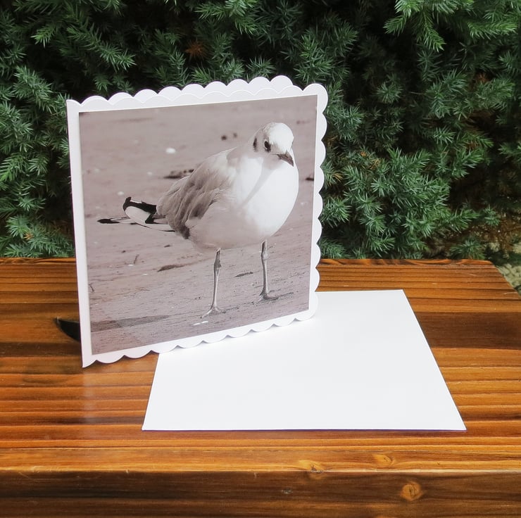 Wading gull. A blank card featuring an origina... - Folksy