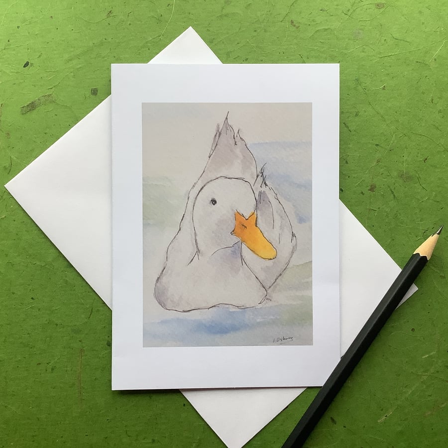 Duck - greetings card. Blank for your own message. - Folksy