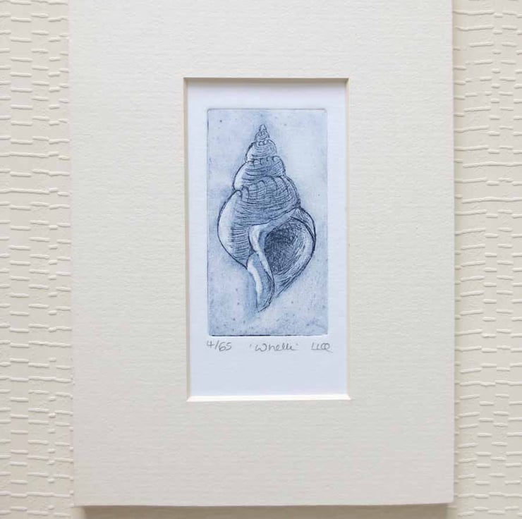 Original etching of a whelk seashell no. 4 of 6... - Folksy