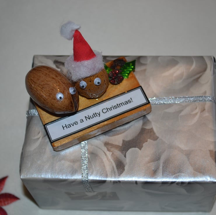 Nutty Gift - Christmas - Folksy