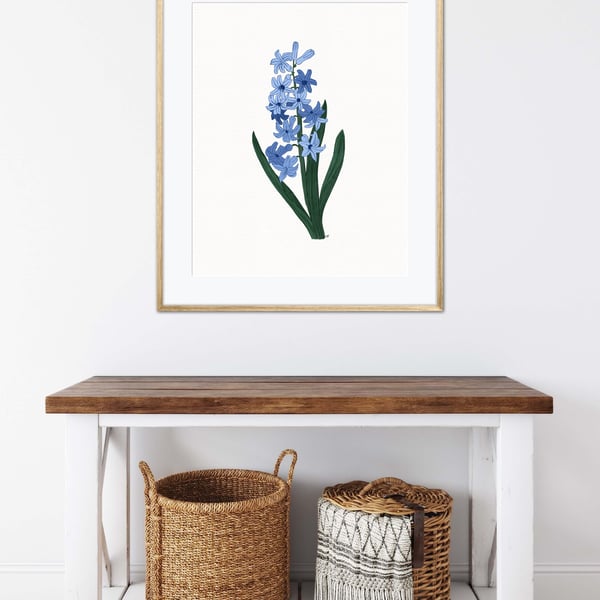 Blue Hyacinth Flowers Wall Art Print, Botanical... - Folksy