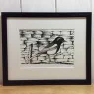 Magpie - original pen and ink drawing of bird - Folksy