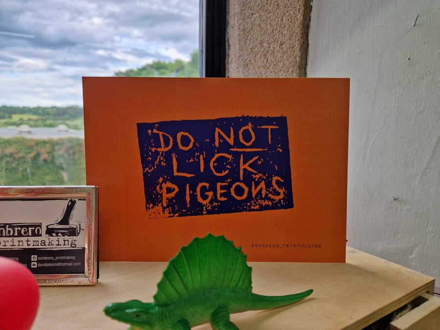 DO NOT LICK PIGEONS. Orange and blue A5 print. - Folksy