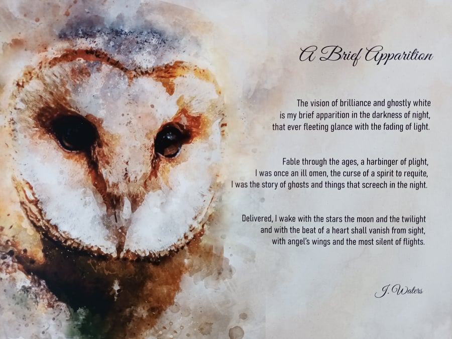 A Brief Apparition barn owl poem - Folksy