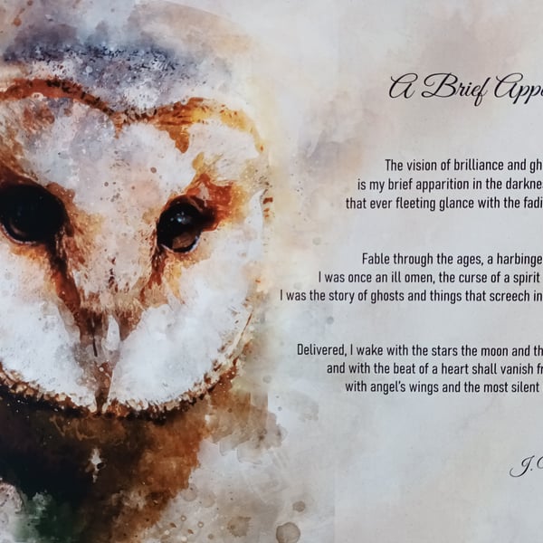 A Brief Apparition barn owl poem - Folksy