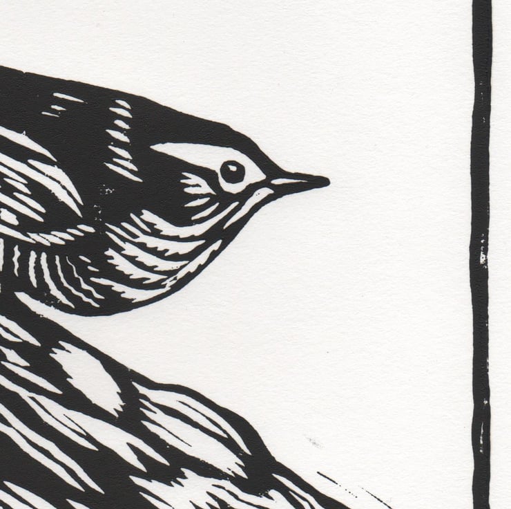 Wren - linocut print of a jenny wren - Folksy