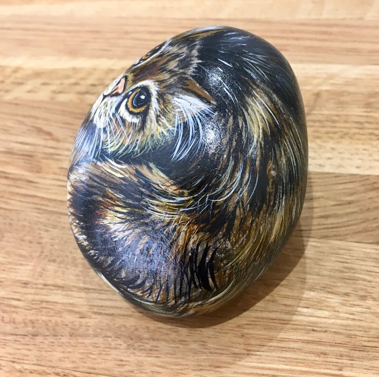 Cat painted pebble garden rock art pet Portrait... - Folksy