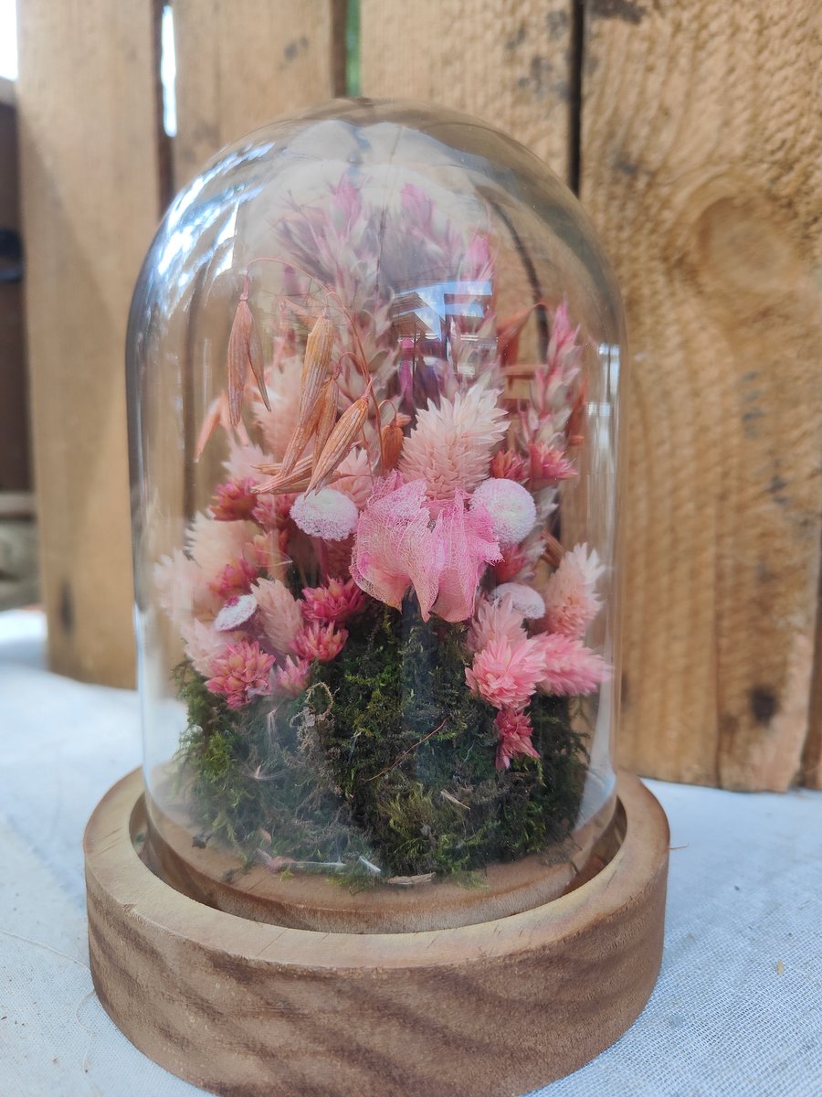 Glass Dome with Dried Flowers - Folksy