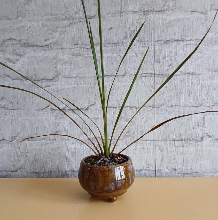 Handmade Stoneware Planter Wheel Thrown Wabi Sa... - Folksy