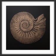 Ammonite - Original Linocut Print - Folksy
