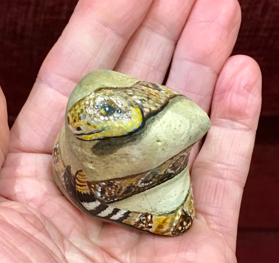 Snake painted pebble garden rock art wildlife p... - Folksy