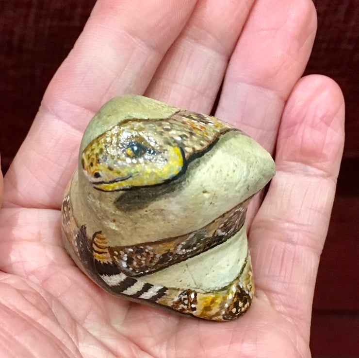 Snake painted pebble garden rock art wildlife p... - Folksy