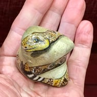 Snake painted pebble garden rock art wildlife p... - Folksy