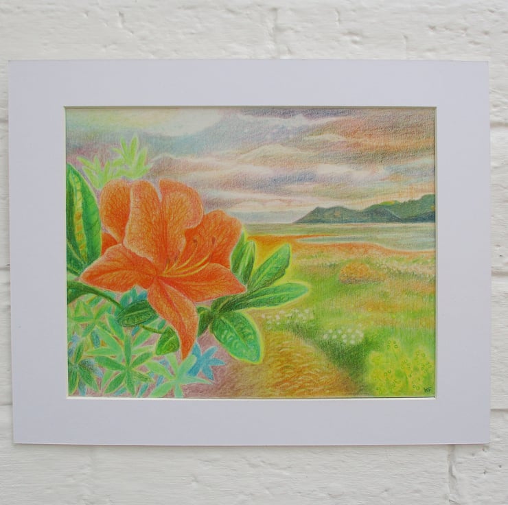Rhododendron, Skipness Beach - Original Coloure... - Folksy