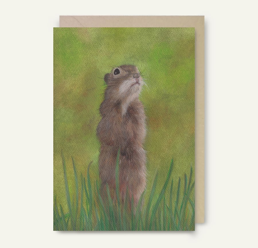 Greeting Card Gopher, size A6 and 5x7 inches, E... - Folksy