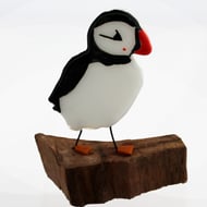 Fused glass puffin - Folksy