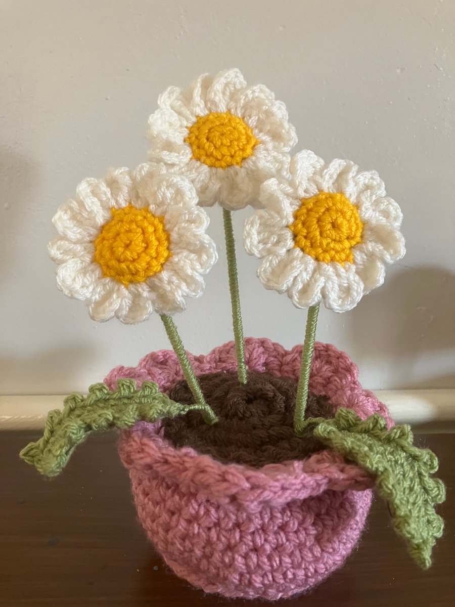 Hand crochet daisies in handmade pot - Folksy
