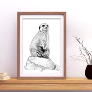 Meerkat Art Print - 'Meerkat' - A5 A4 A3 Wildli... - Folksy