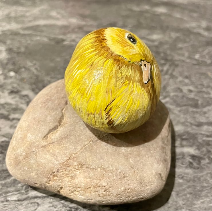 Duckling hand painted pebble garden rock art - Folksy