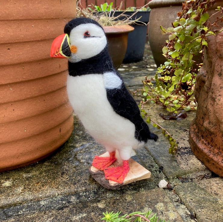 Needle felted Puffin, woollen sculpture, model - Folksy
