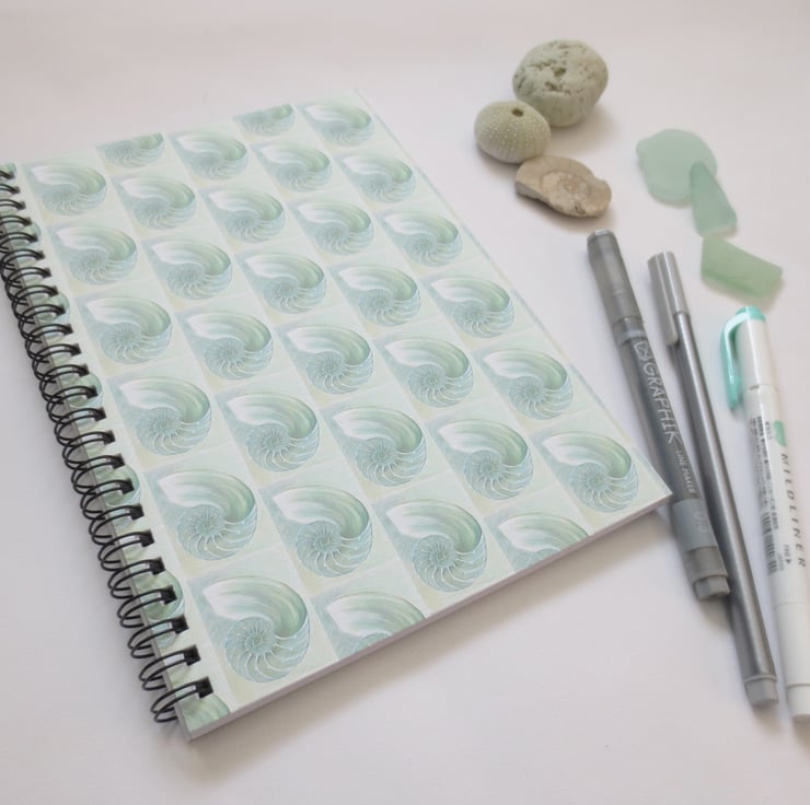 Seconds Sunday chambered nautilus shell in gree... - Folksy