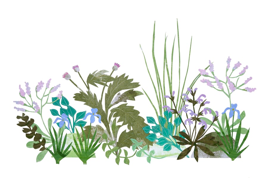 Blue garden border, Giclee print, A3 - Folksy