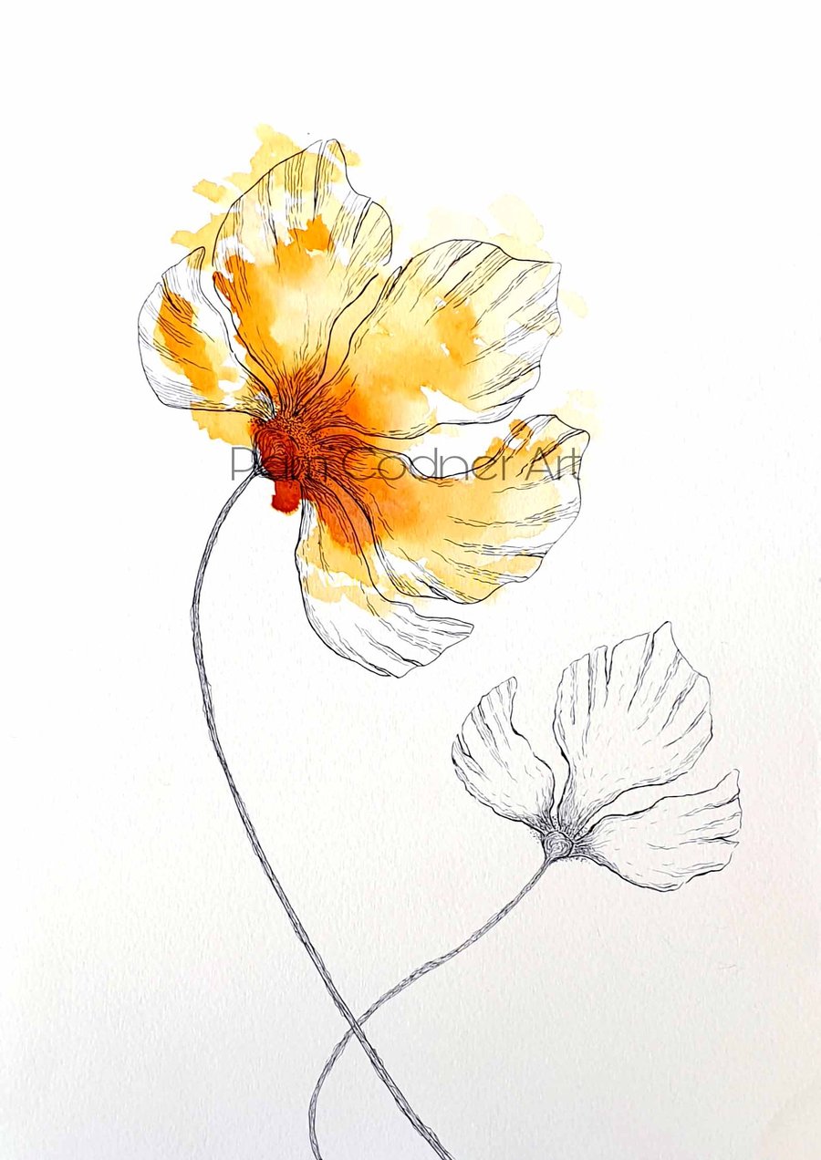 Fine Art Flower Drawings | Best Flower Site
