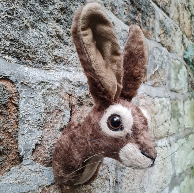 Faux Hare Head - animal replica- Mr Harvey - Folksy