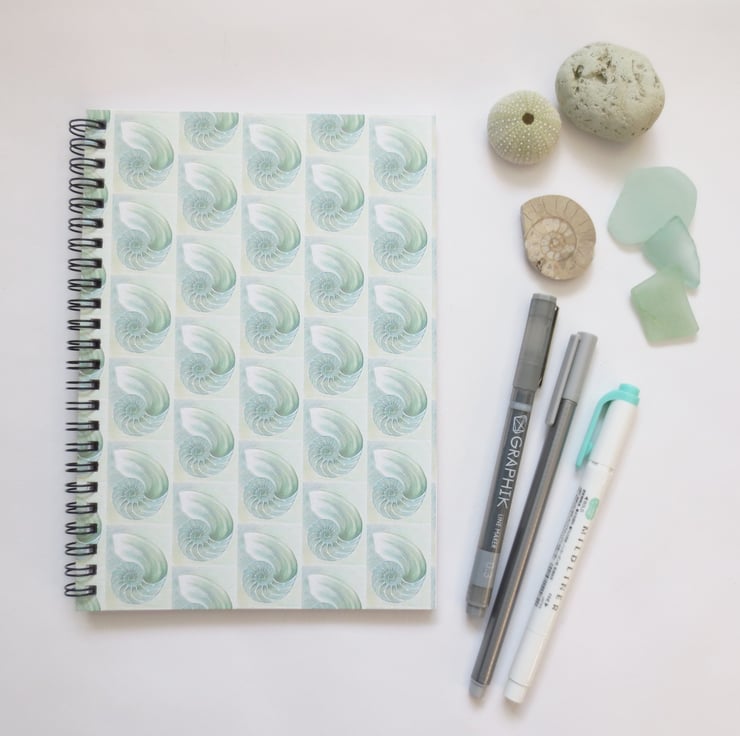 Seconds Sunday chambered nautilus shell in gree... - Folksy