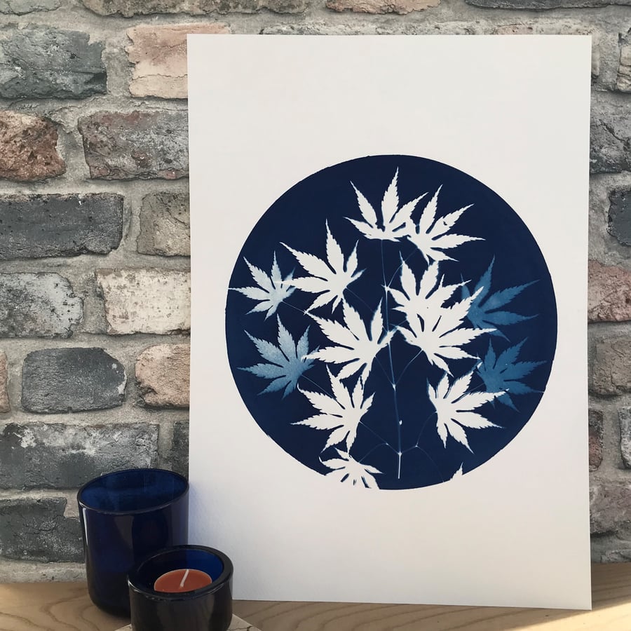 An Original Cyanotype Photogram with Acer leaves - Folksy