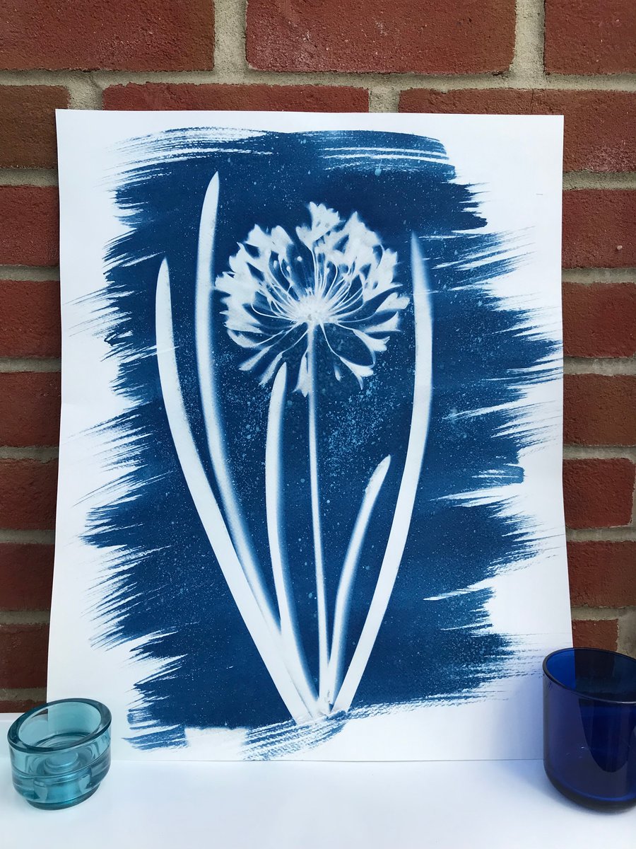 Summer Art, Botanical Art, Cyanotype Art, Ideal... - Folksy