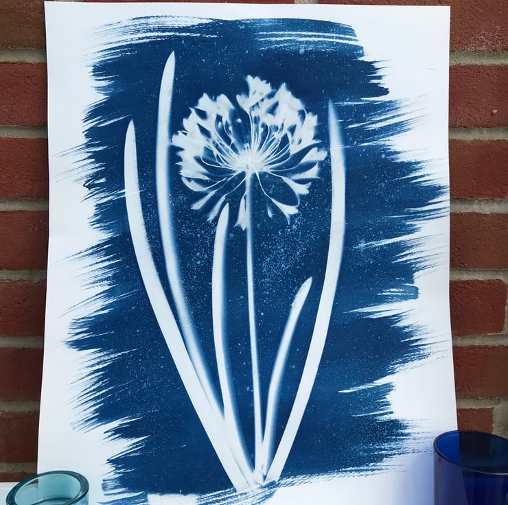 Summer Art, Botanical Art, Cyanotype Art, Ideal... - Folksy