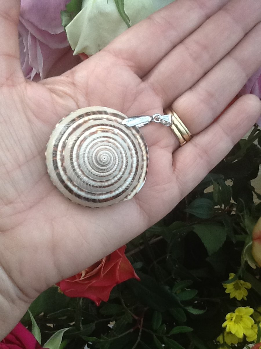 Mermaid! Large Spiral Shell Pendant with Silve... - Folksy