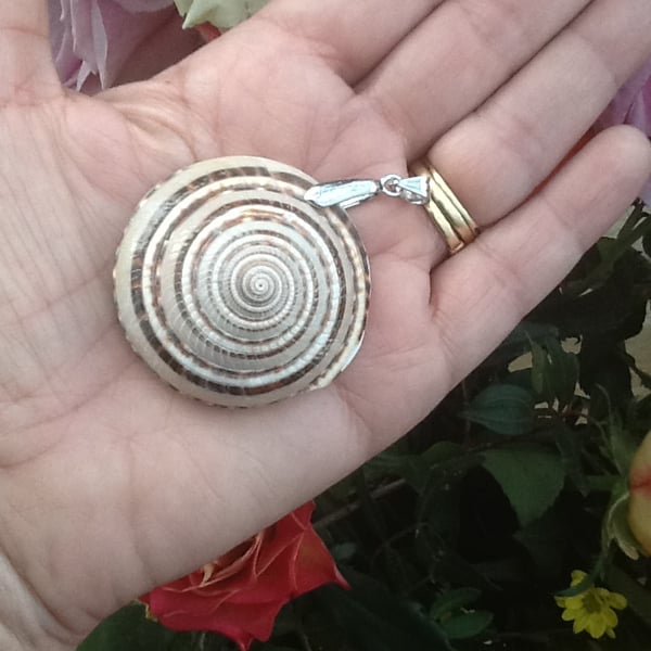Mermaid! Large Spiral Shell Pendant with Silve... - Folksy