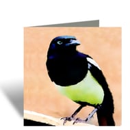 Magpie Greeting, Birthday Card - Folksy