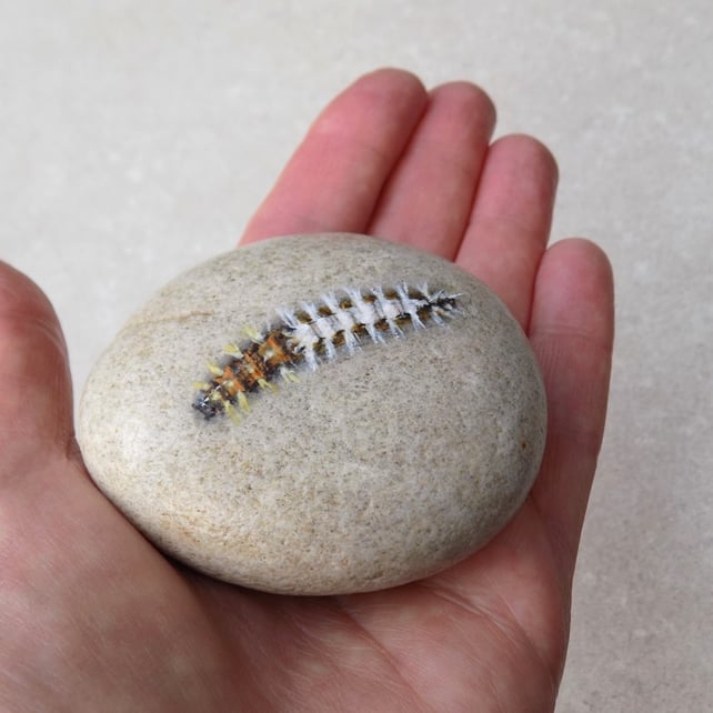 Painted Stone 'Comma Butterfly Caterpillar' - Folksy