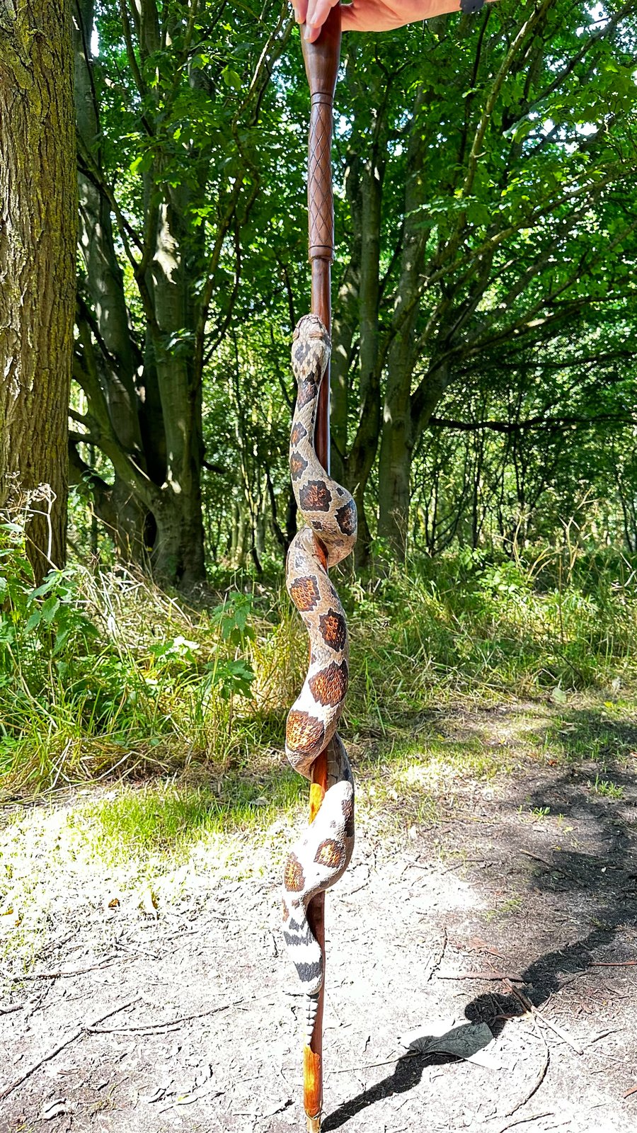 Snake walking stick - Folksy