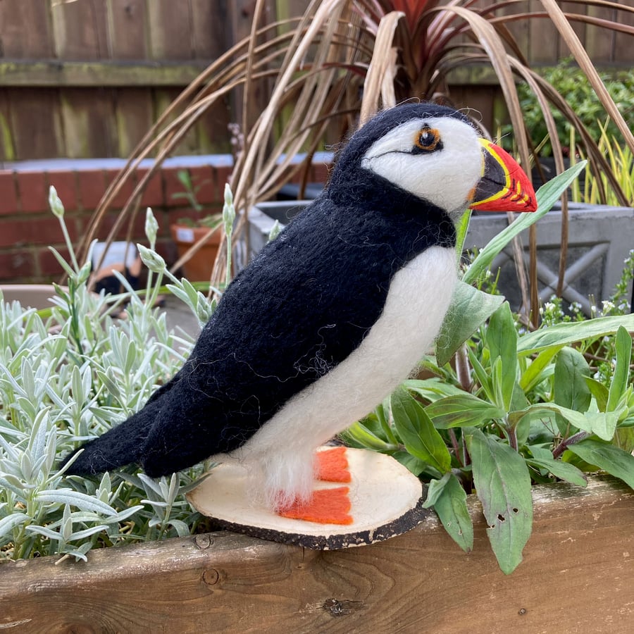 Puffin, needle felted woollen model, sculpture - Folksy