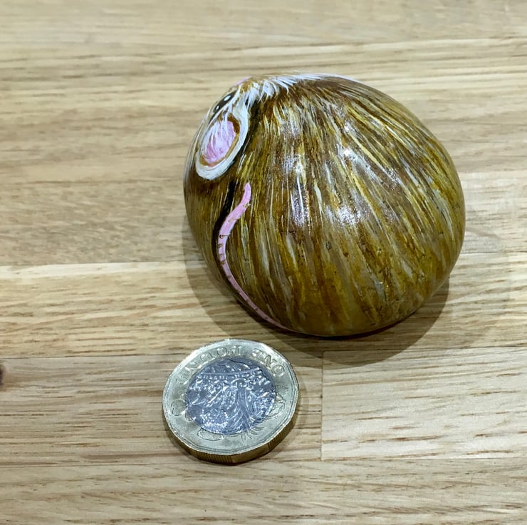 Mouse hand painted pebble garden rock art wildl... - Folksy