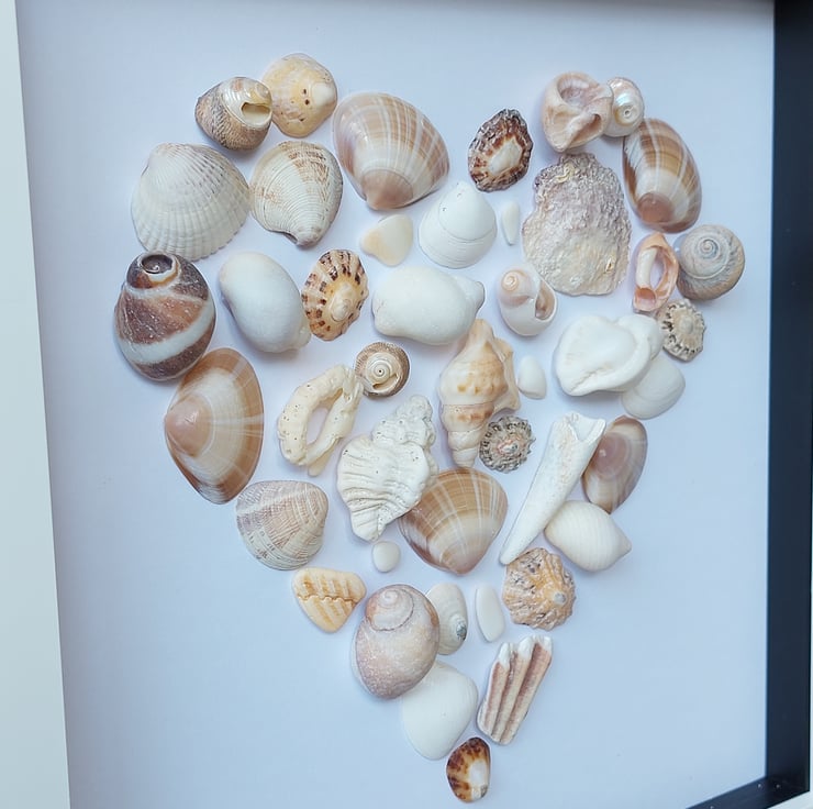 Cornish shell heart - Folksy